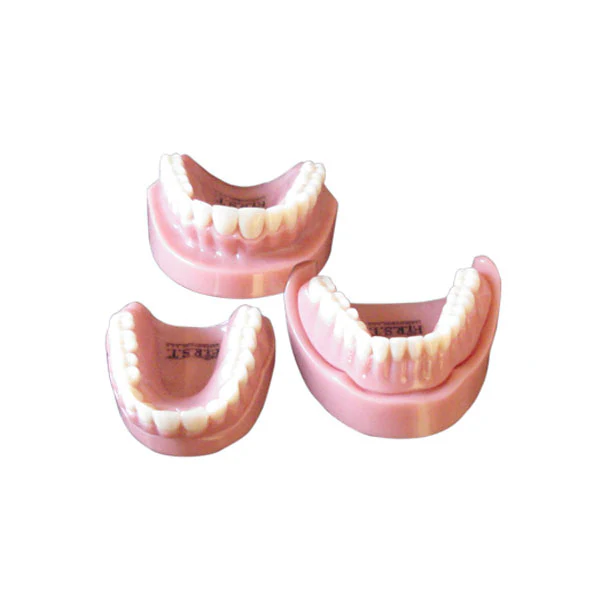 Upcoming Courses & Our Patient Education Models